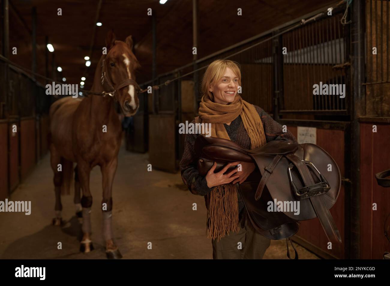 Female horse rider walking with harness in stable Stock Photo - Alamy