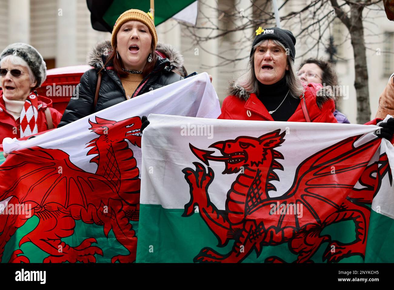 Cardiff, UK. 01st Mar, 2023. Parade participants hold Welsh flags in ...