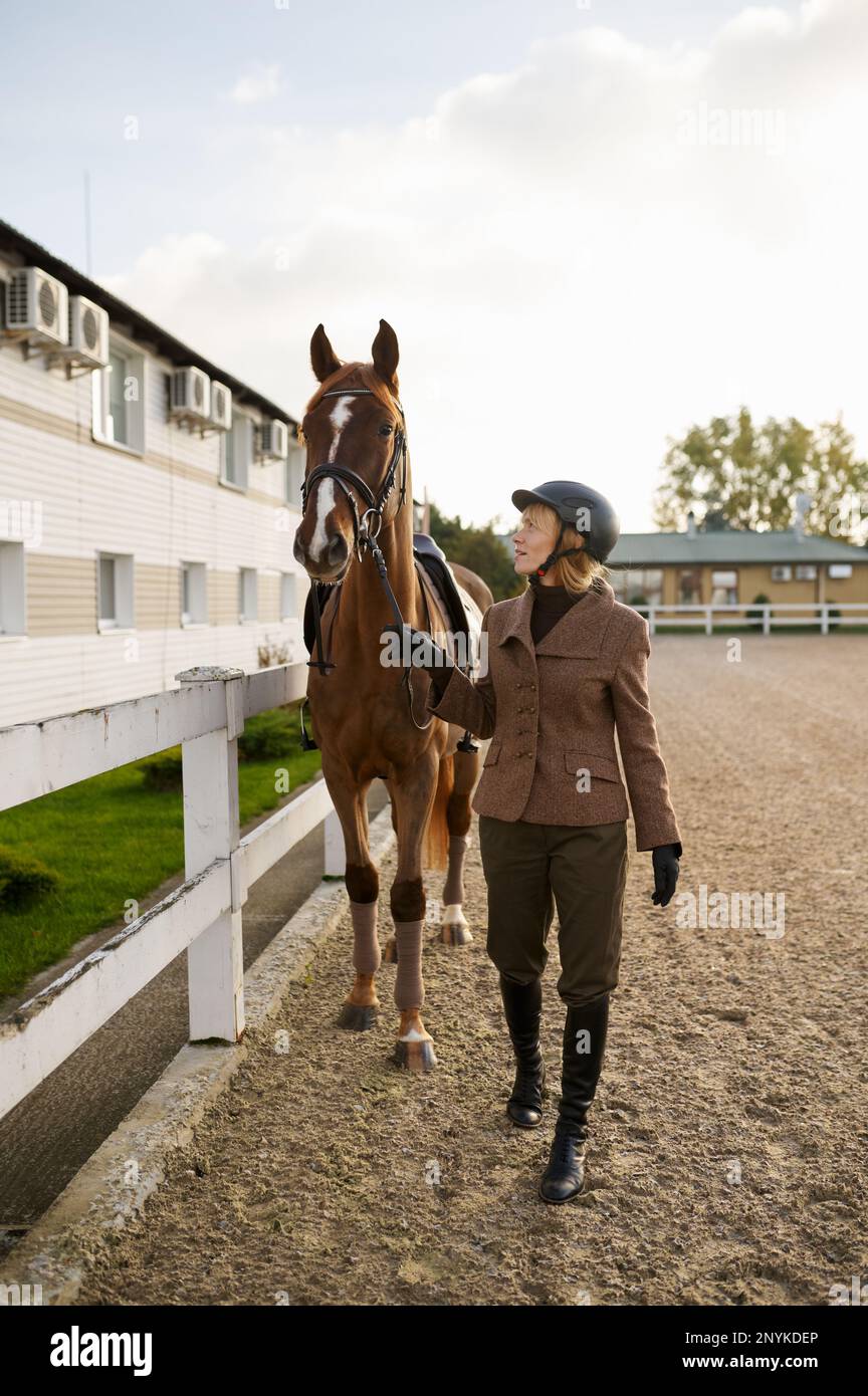 Attractive smiling woman equestrian walking horse in outdoor paddock ...