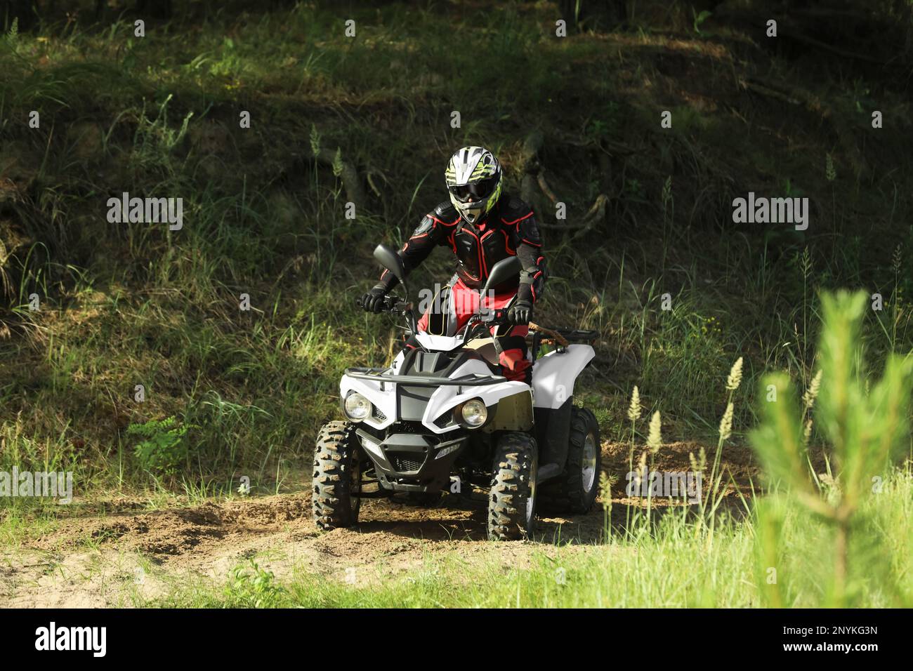 Man driving modern quad bike on sandy road near forest. Extreme sport ...