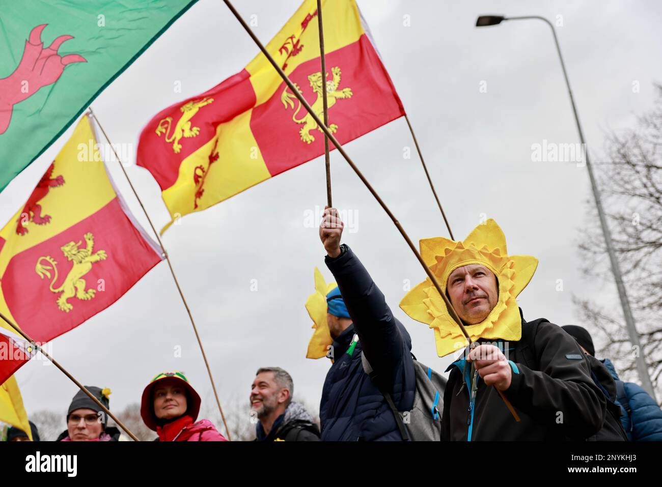 Parade participants hold Welsh flags and wear daffodil decorations ...