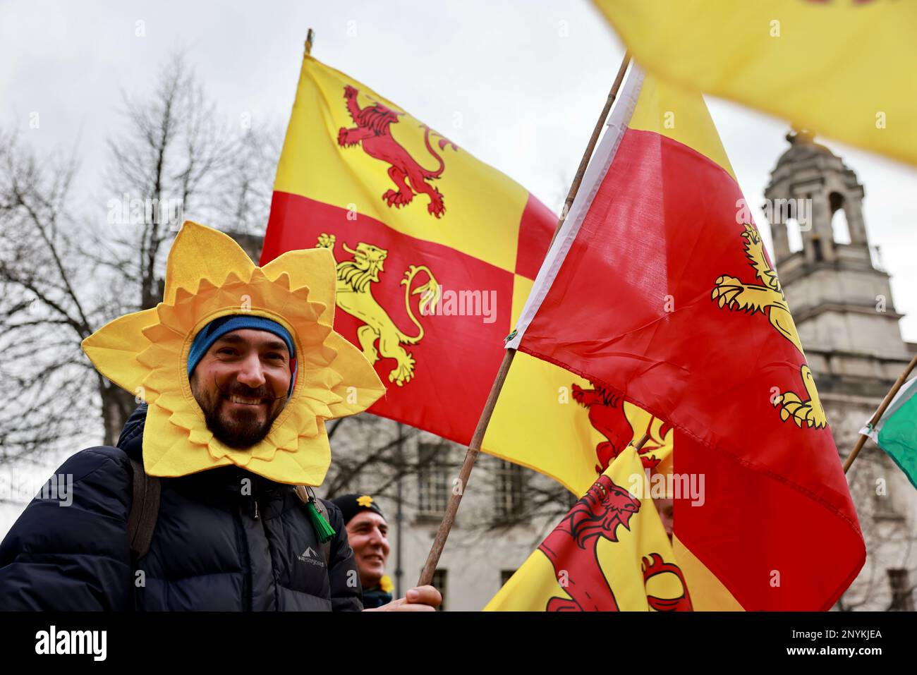 Parade participants hold Welsh flags and wear daffodil decorations ...