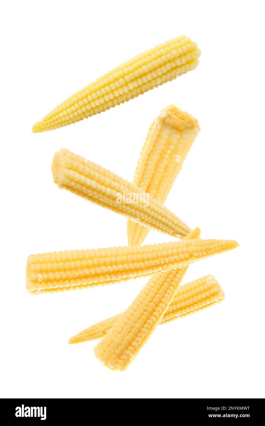 Tasty baby corn cobs flying on white background Stock Photo - Alamy