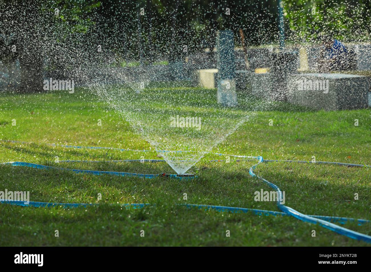 Automatic sprinkler watering green grass in park. Irrigation system ...