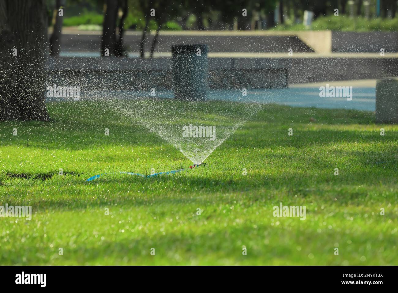 Automatic sprinkler watering green grass in park. Irrigation system ...