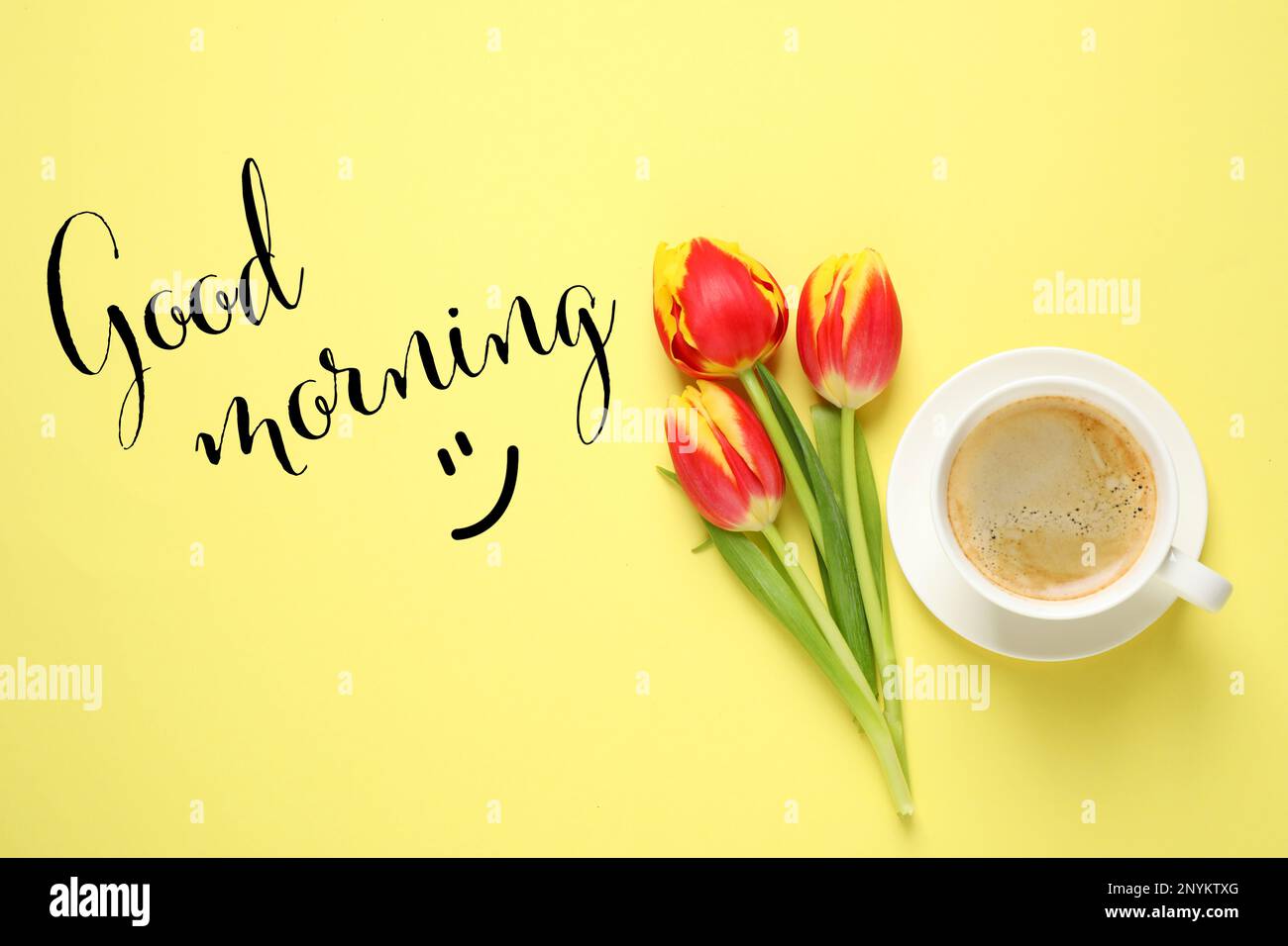 Good morning tulips hi-res stock photography and images - Alamy