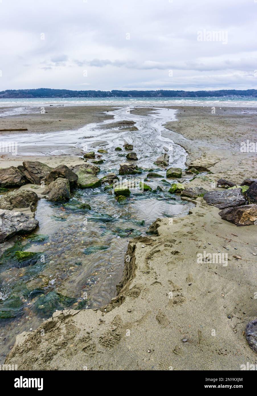 A view of the Puget Sound shoreline on a windy day at Dash Point State ...