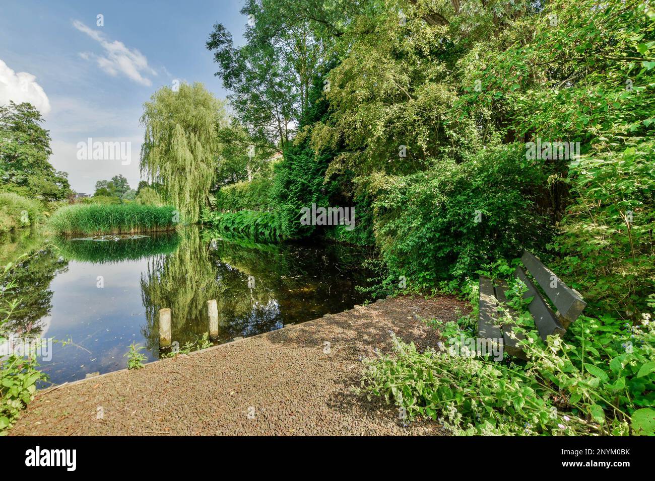 a river in the middle of a park with trees and bushes surrounding it on ...