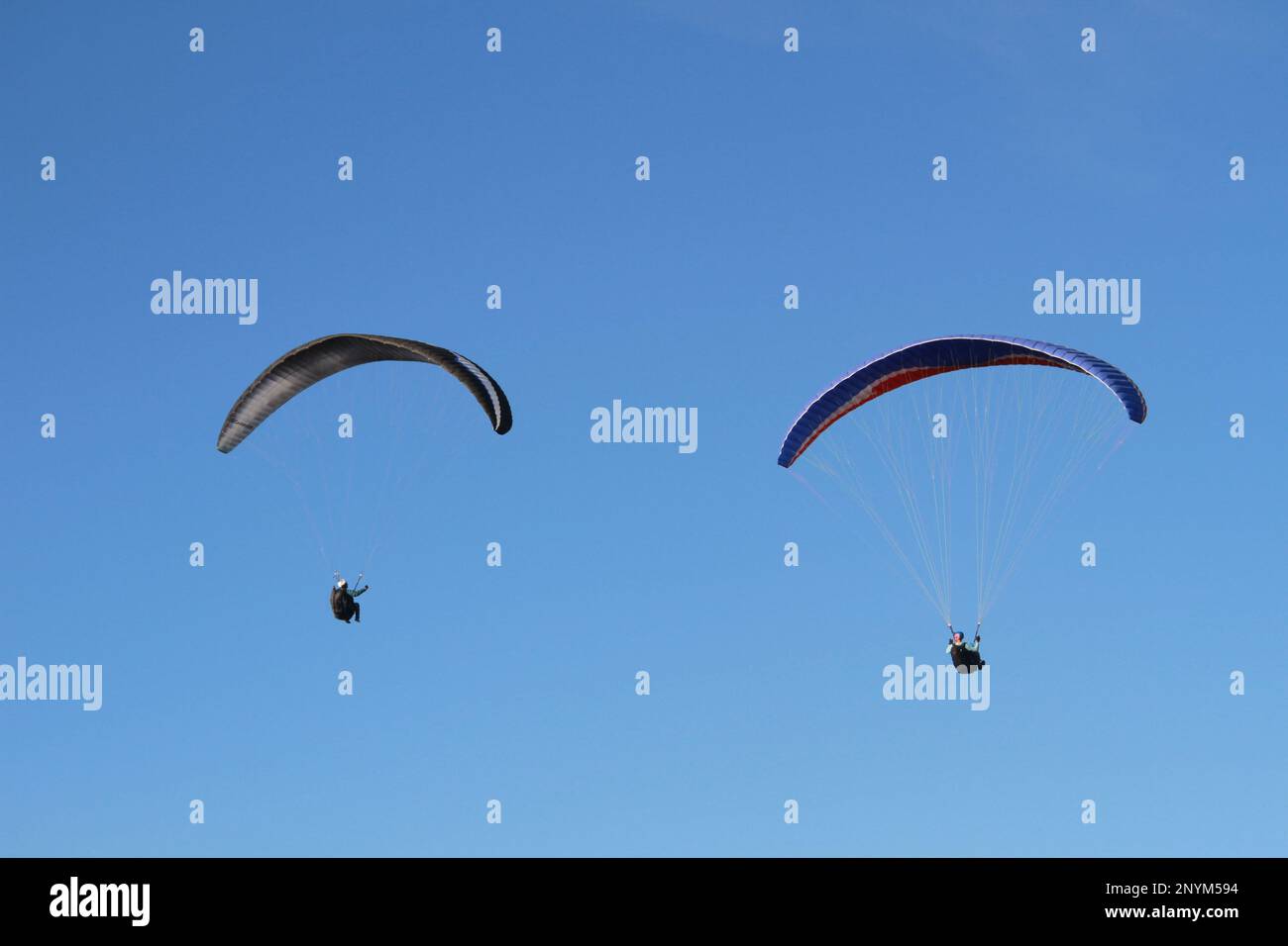 Paragliding double flight on a blue sky Stock Photo - Alamy