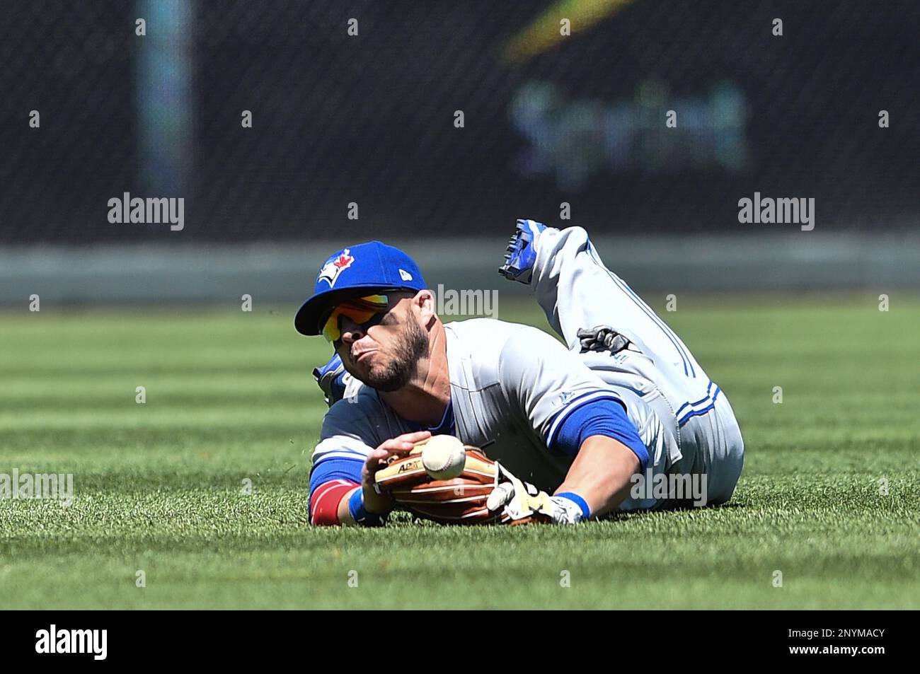 June 24,2017: Toronto Blue Jays left fielder Steve Pearce (28)couldn't ...
