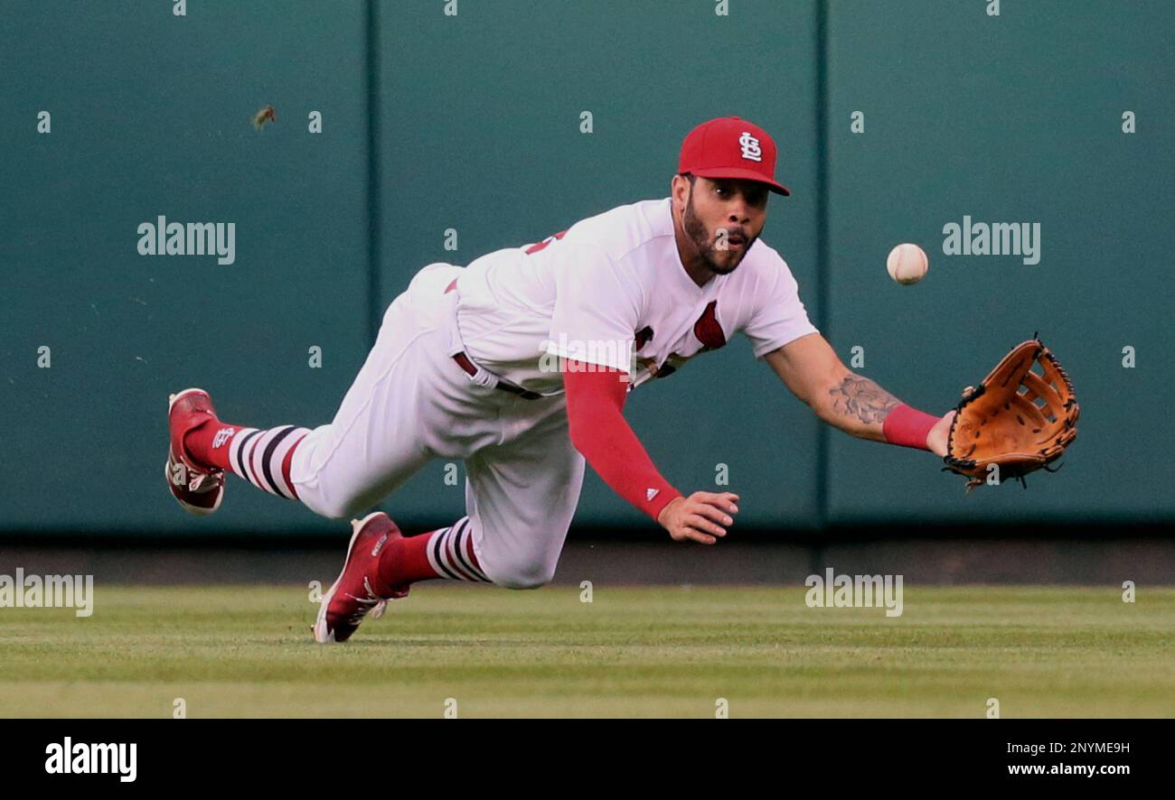 St. Louis Cardinals center fielder Tommy Pham dives to catch a line ...