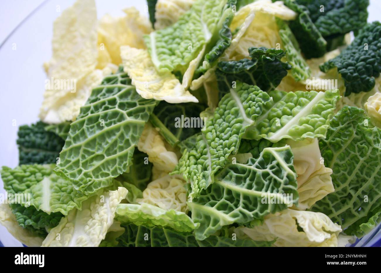 Wirsing cabbage hi-res stock photography and images - Alamy