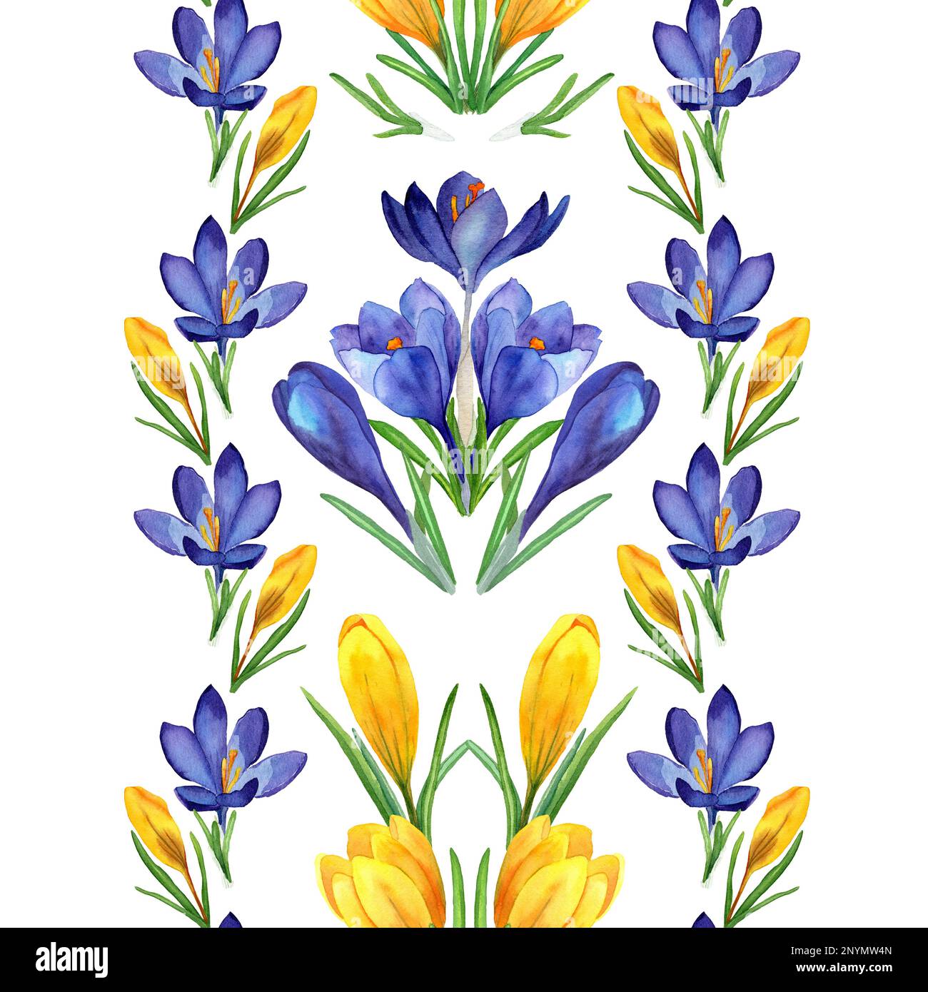 Spring Seamless pattern of crocuses in Ukrainian style. Watercolor hand ...