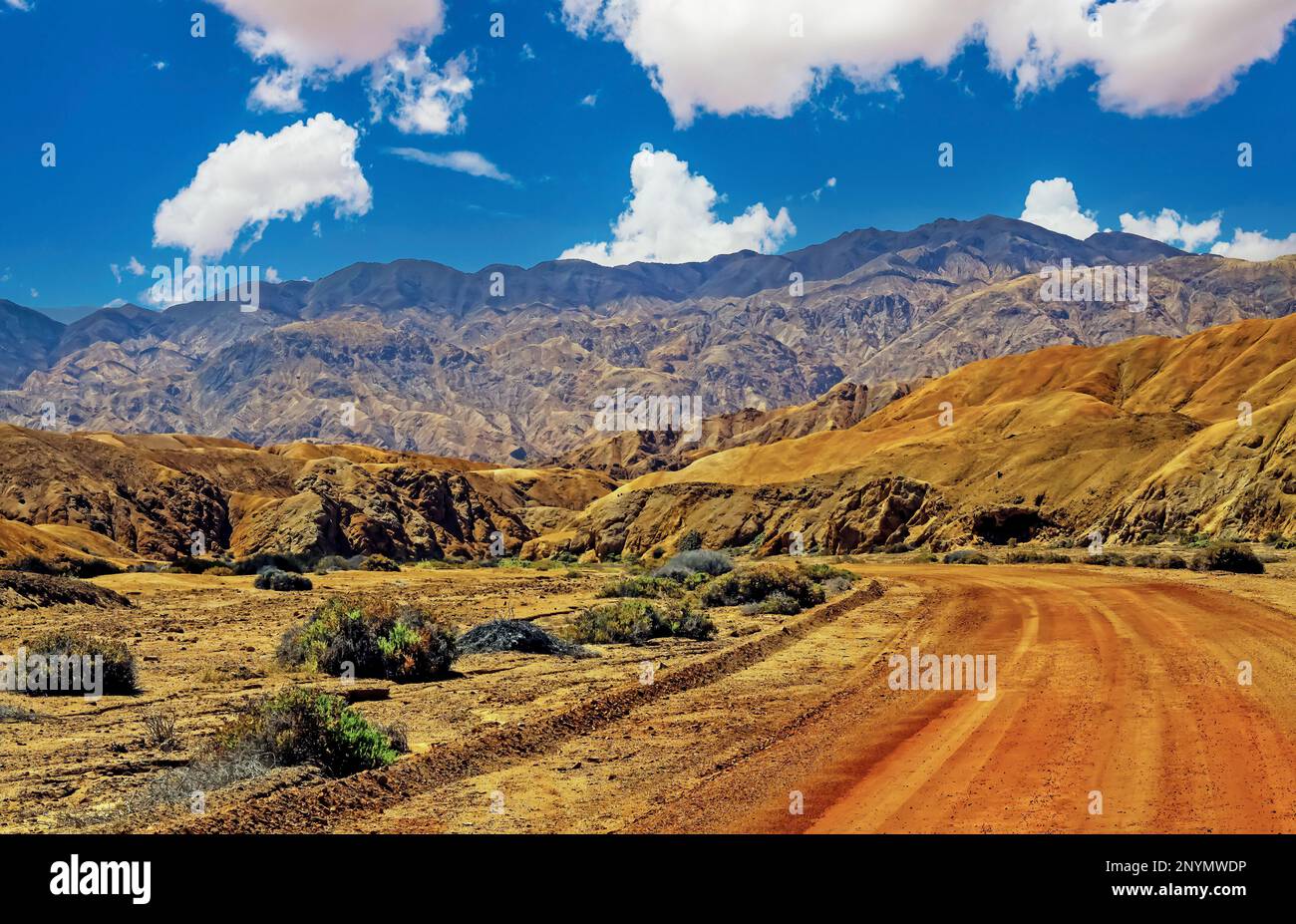 Beautiful lonely wild red desert landscape, dirt sand track road ...