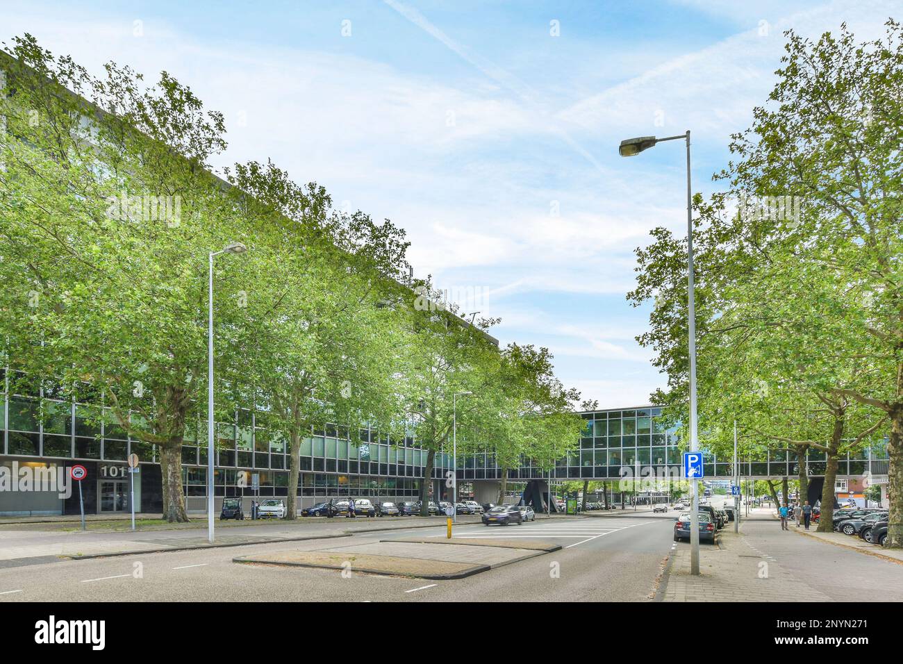 a city street with cars parked on the side and trees lining the road ...