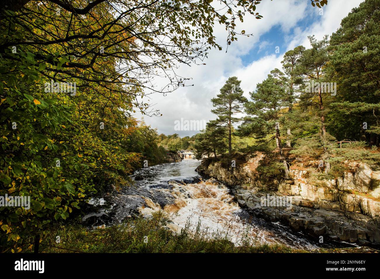 The River Tees at Wynch Bridge Bowlees below Low Force Middleton in ...