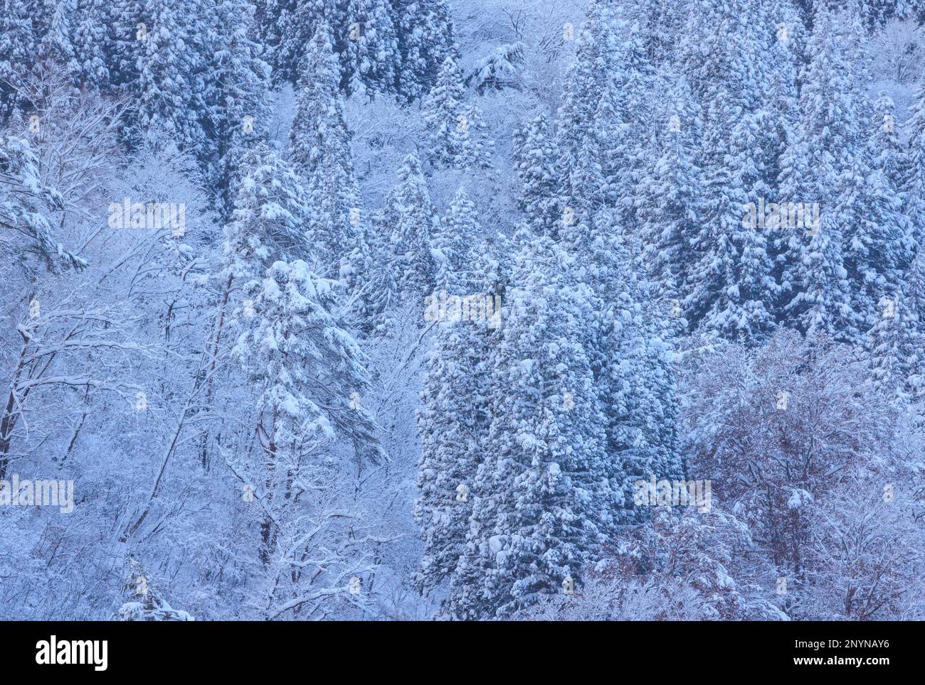 Aerial vuew hi-res stock photography and images - Alamy