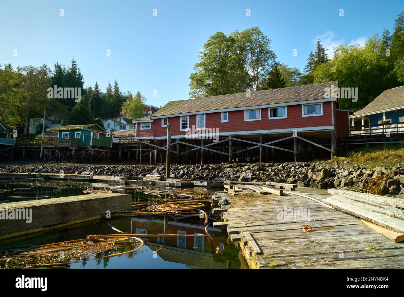 Telegraph Cove Rustic Marina Dock Reflections. The Telegraph Cove ...