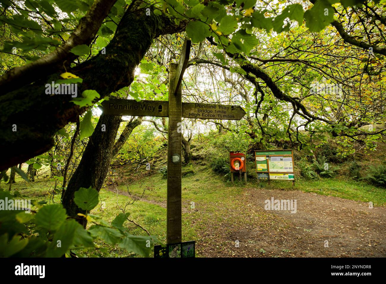Pennine Way sign in woods pointing to High Force, with lifebelt and ...