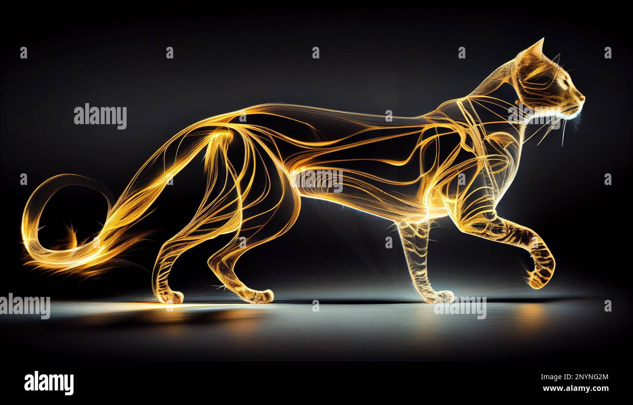 Cat running at night street, light trails Stock Photo - Alamy