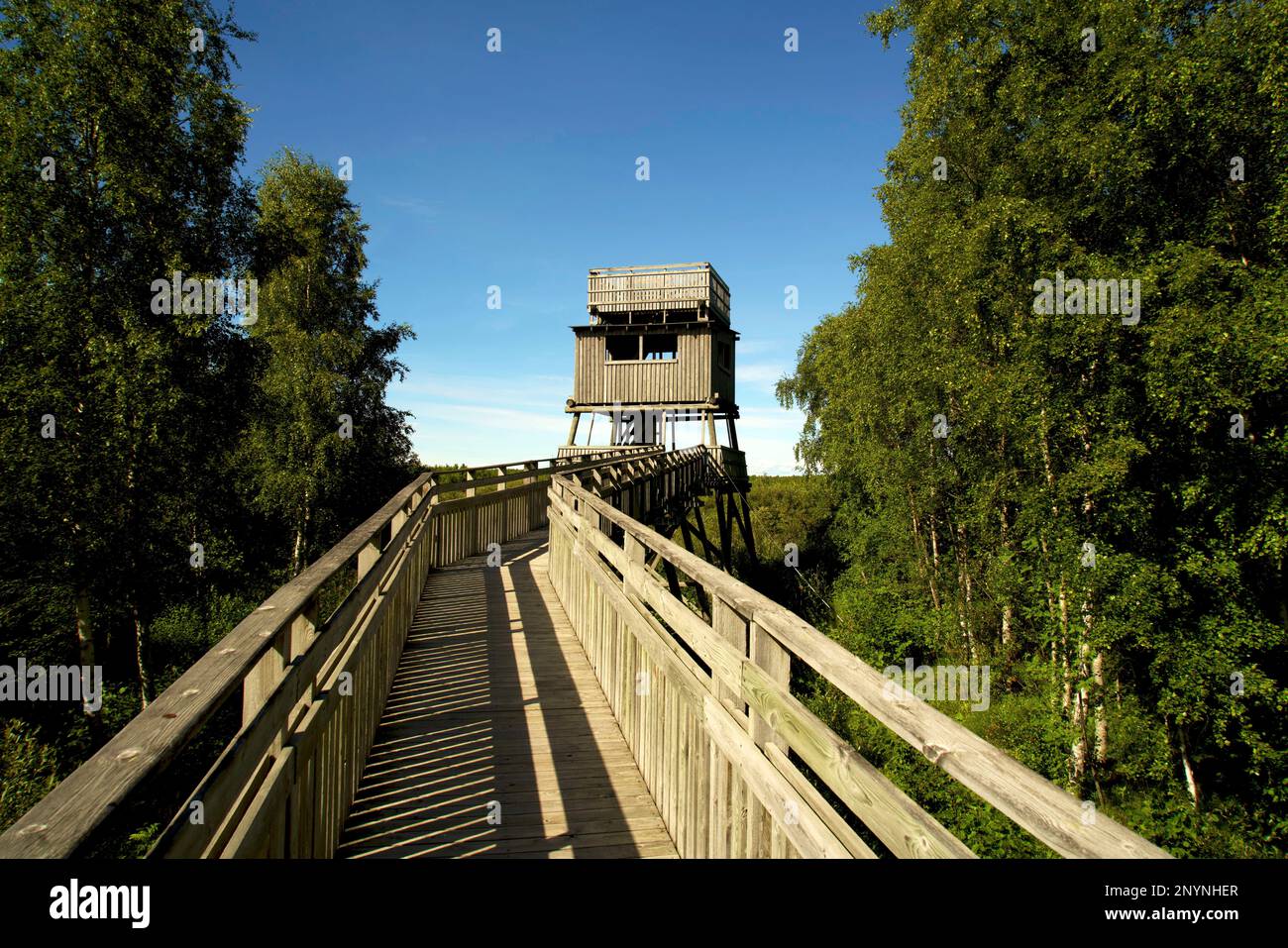 Finland, North Ostrobothnia: Hailuoto Island: birdwatching observation ...