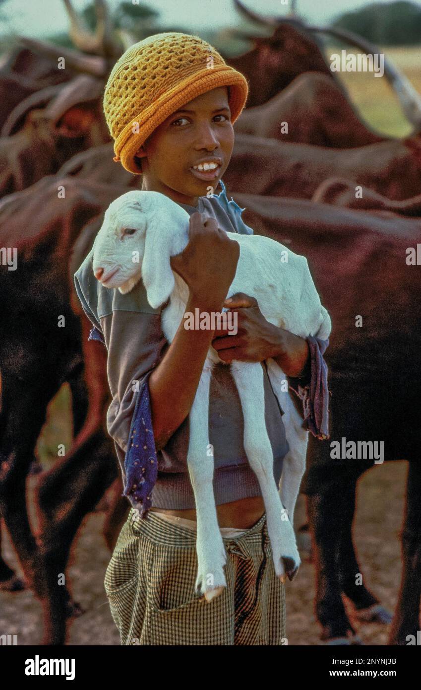 Niger, shepherd boy holding a young lamb Stock Photo - Alamy