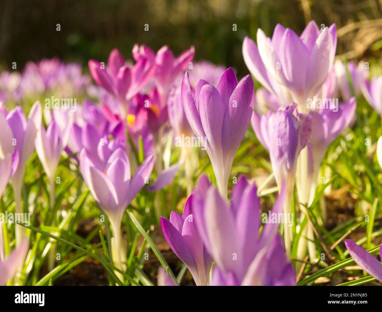 Eye level hi-res stock photography and images - Alamy