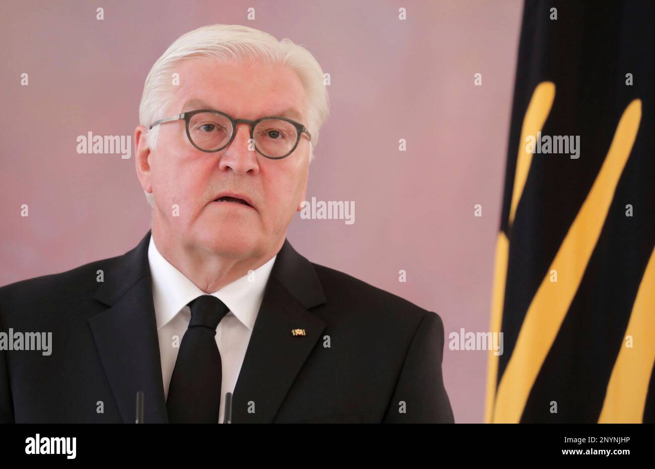 German President Frank-Walter Steinmeier gives a statement in Berlin ...