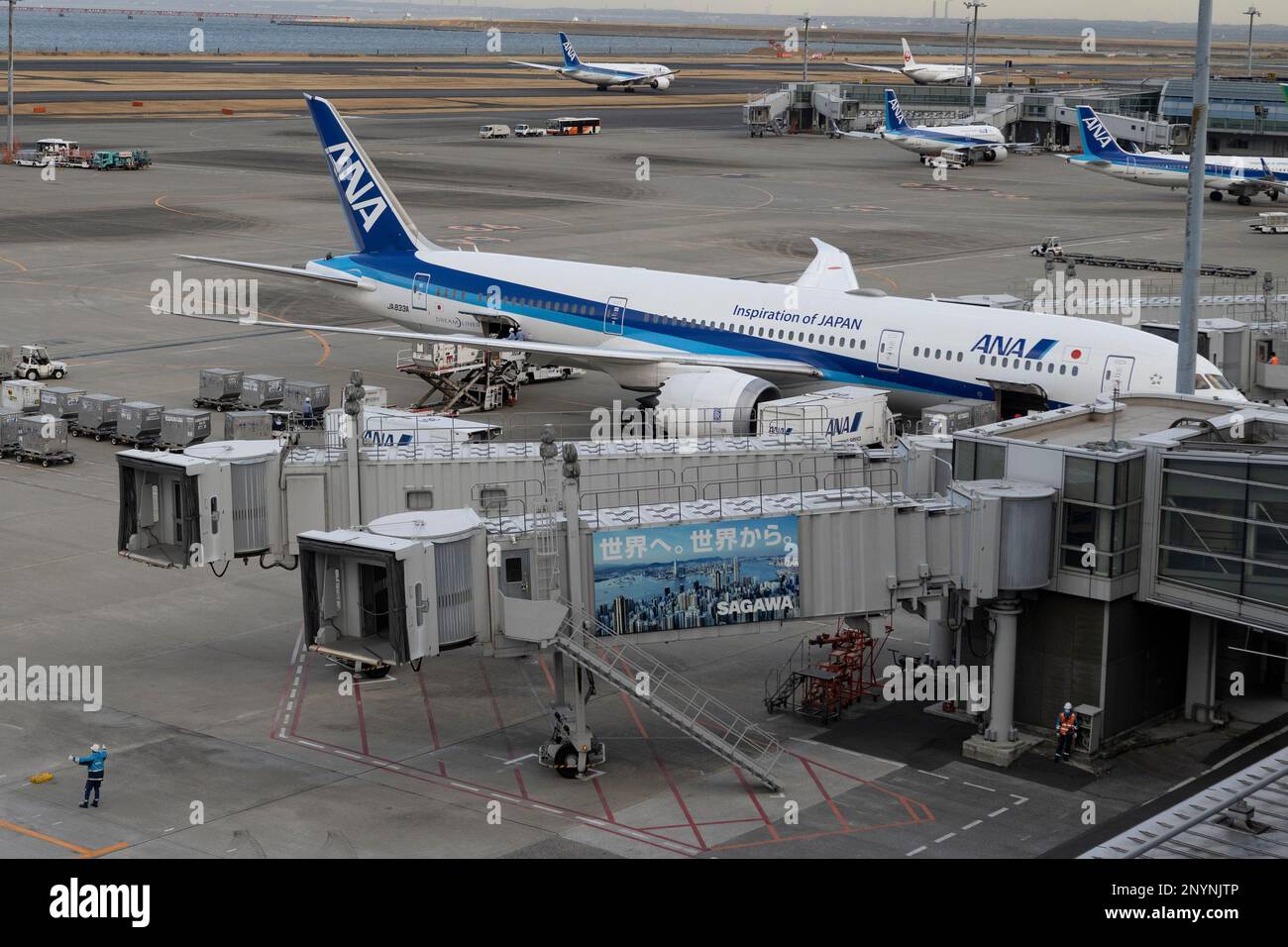 March 2, 2023, Tokyo, Japan: An ANA Boeing 787 Dreamliner jet (JA833A ...