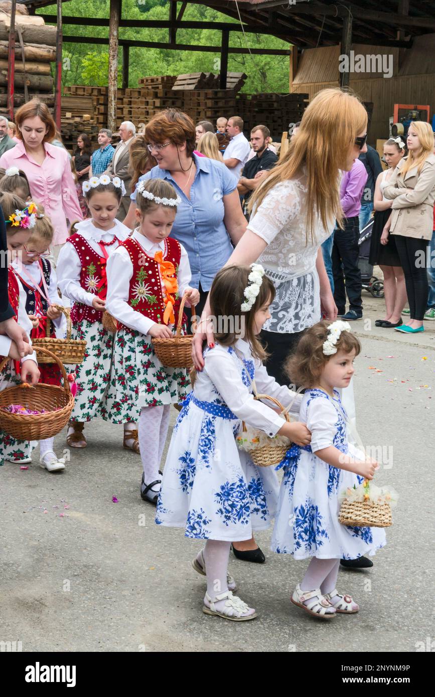 Little girls scattering flower petals, Corpus Christi procession in ...