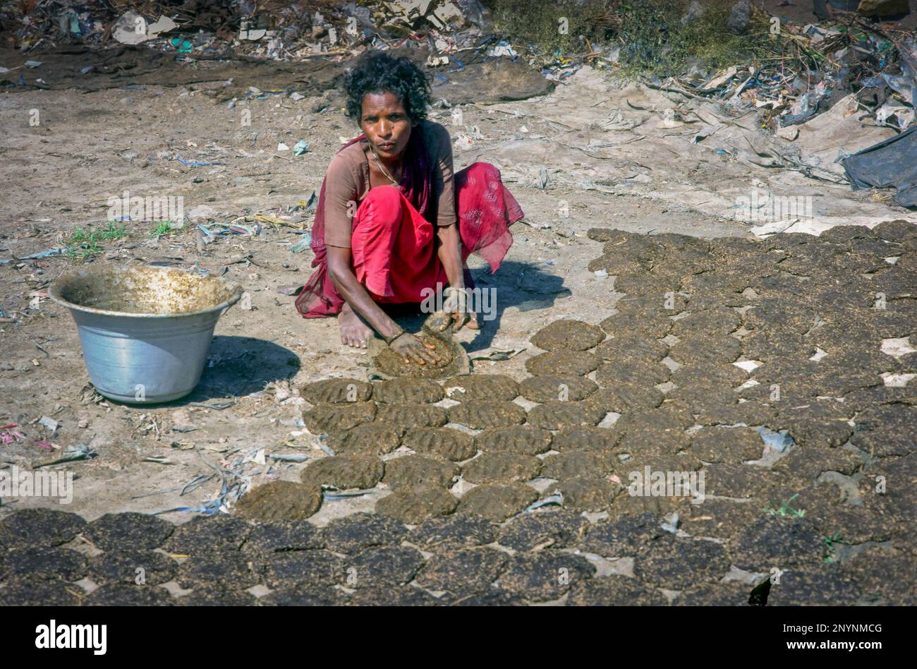 Drying manure hi-res stock photography and images - Alamy