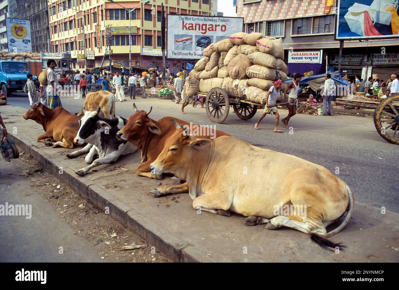 Street scene calcutta hi-res stock photography and images - Alamy