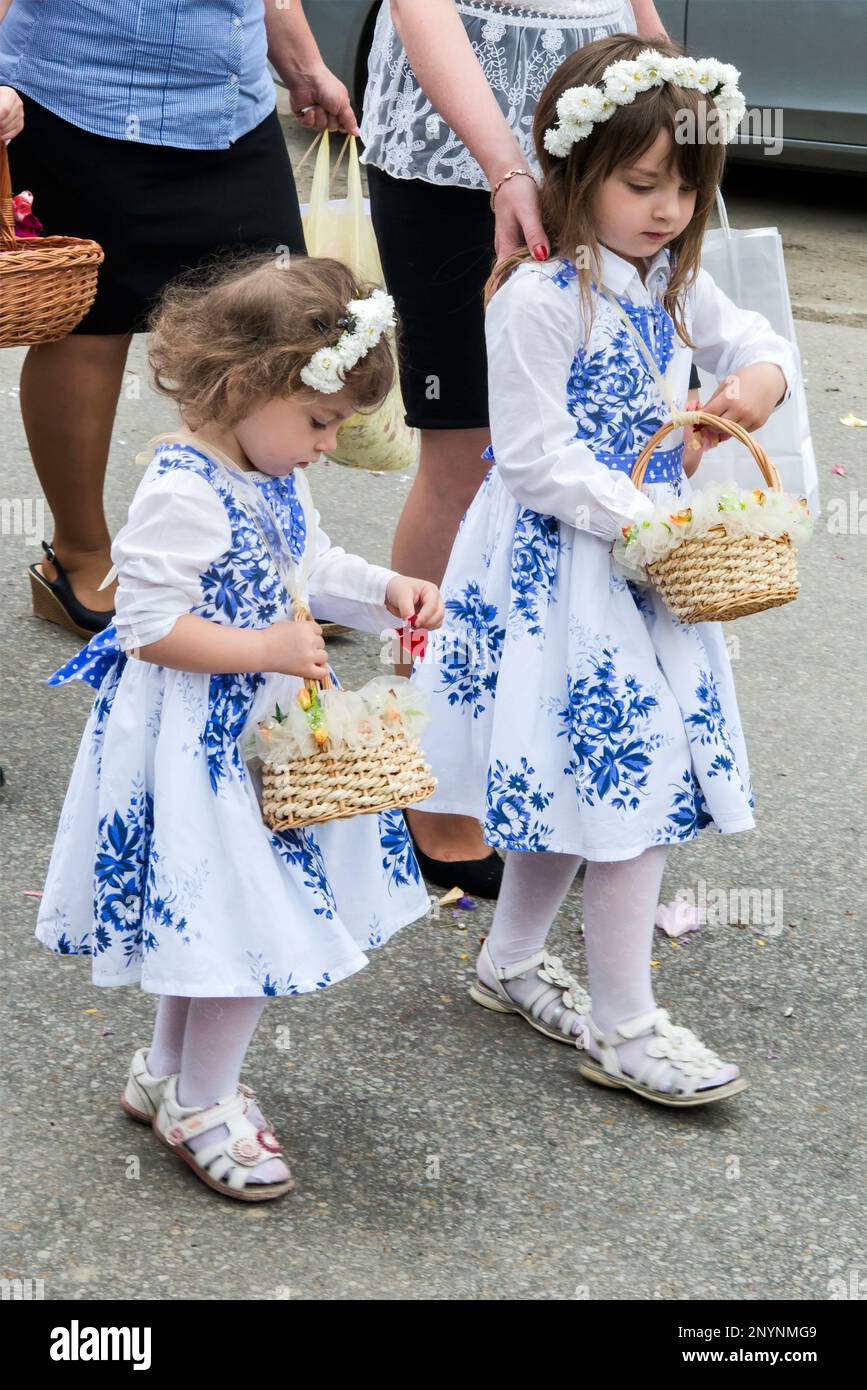 Little girls scattering flower petals, Corpus Christi procession in ...