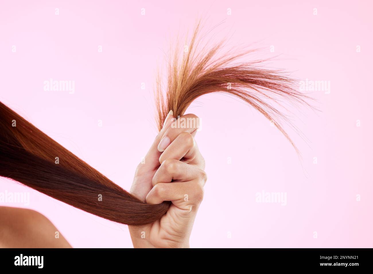 Woman, split end in hand and hair in studio for salon, hairdresser or ...