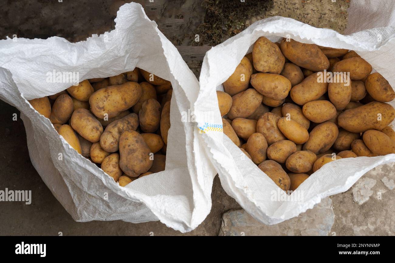 Top view potato hi-res stock photography and images - Alamy