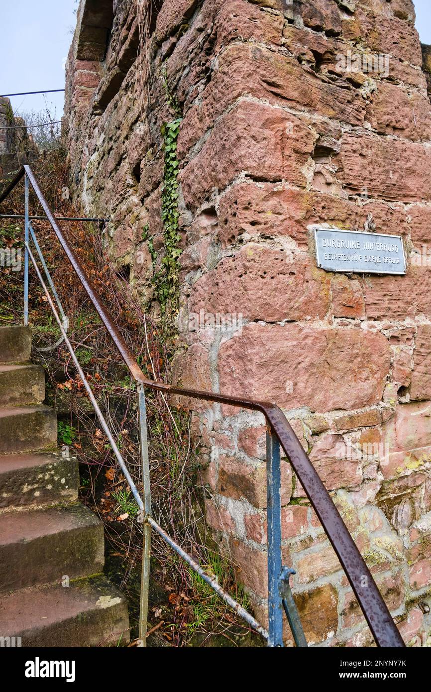 Ruins of Hinterburg Castle, also Alt-Schadeck Castle, in the town of ...