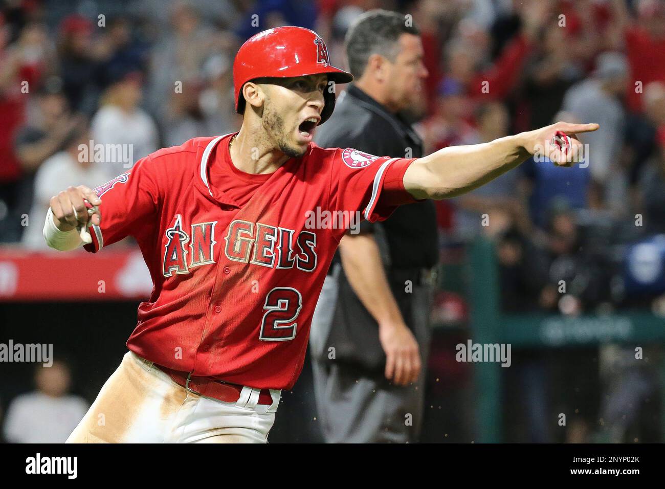 June 13, 2017: Los Angeles Angels shortstop Andrelton Simmons #2 shouts ...