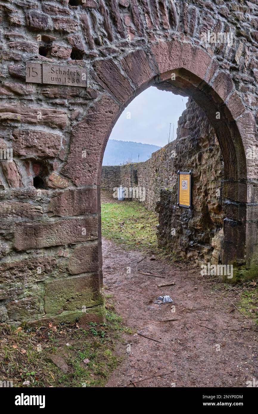 Ruins of Schadeck Castle, also Schwalbennest Castle, in the town of ...