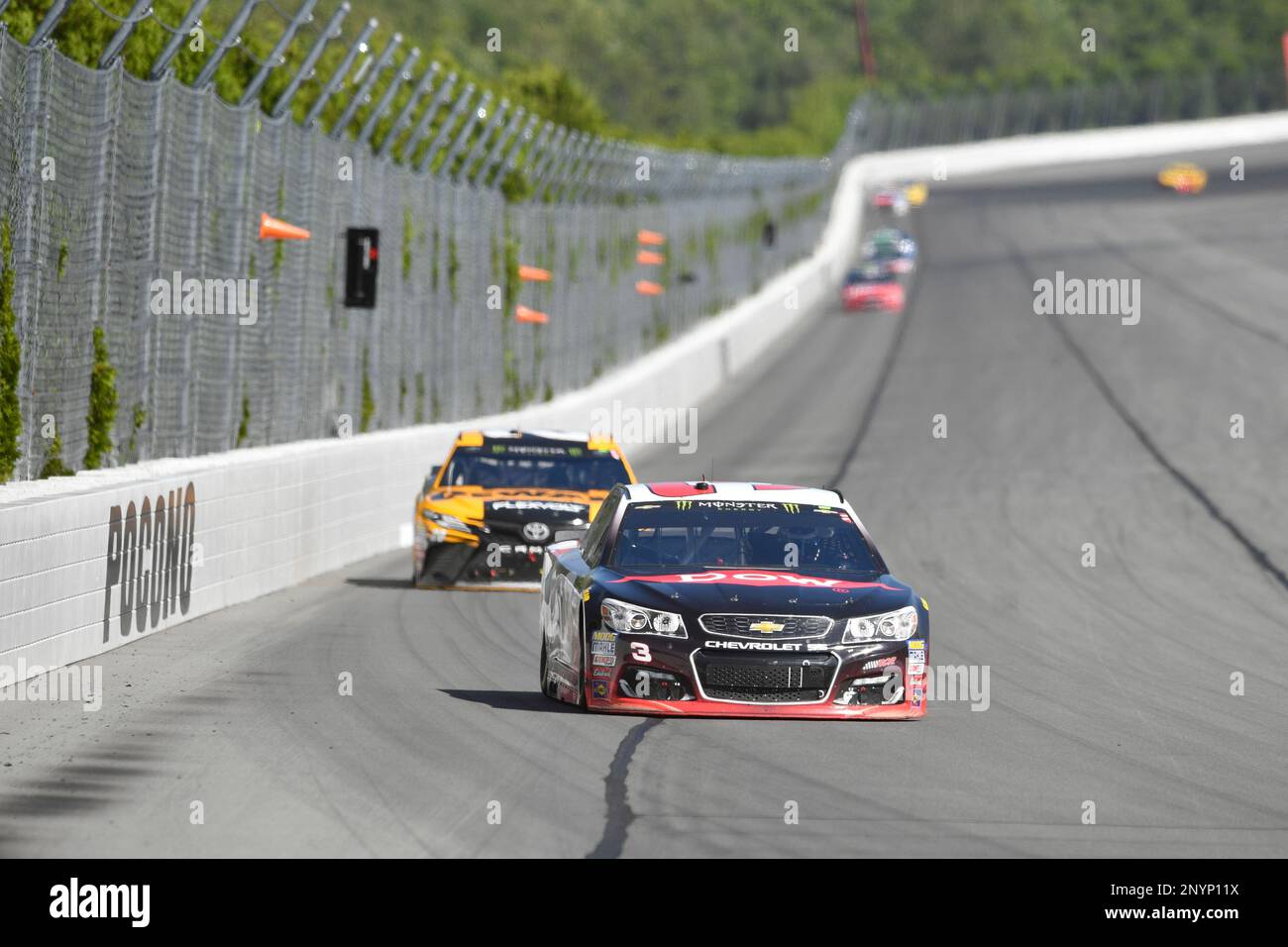 Austin Dillon, Richard Childress Racing, Dow Chevrolet SS and Matt ...