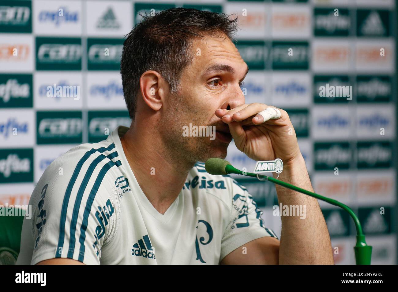 Sao Paulo - SP - 06/13/2017 - PRESS COLLECTION OF PALMEIRAS / FERNANDO ...