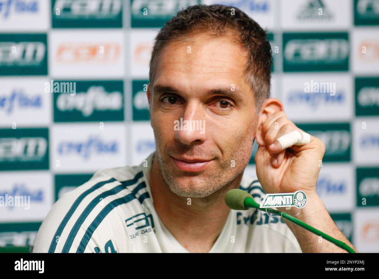 Sao Paulo - SP - 06/13/2017 - PRESS COLLECTION OF PALMEIRAS / FERNANDO ...