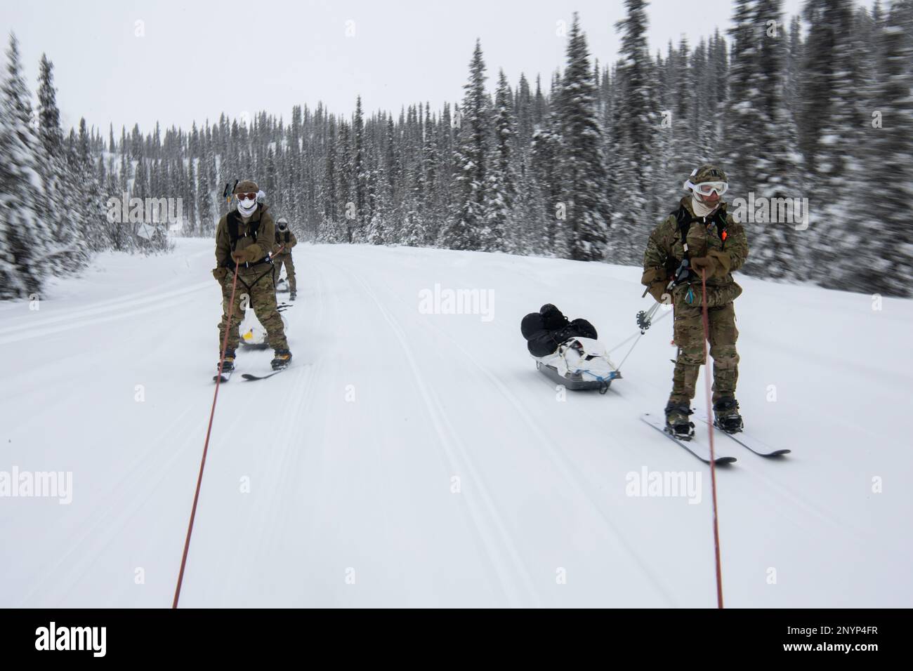 U.S. Air Force tactical air control party specialists assigned to ...