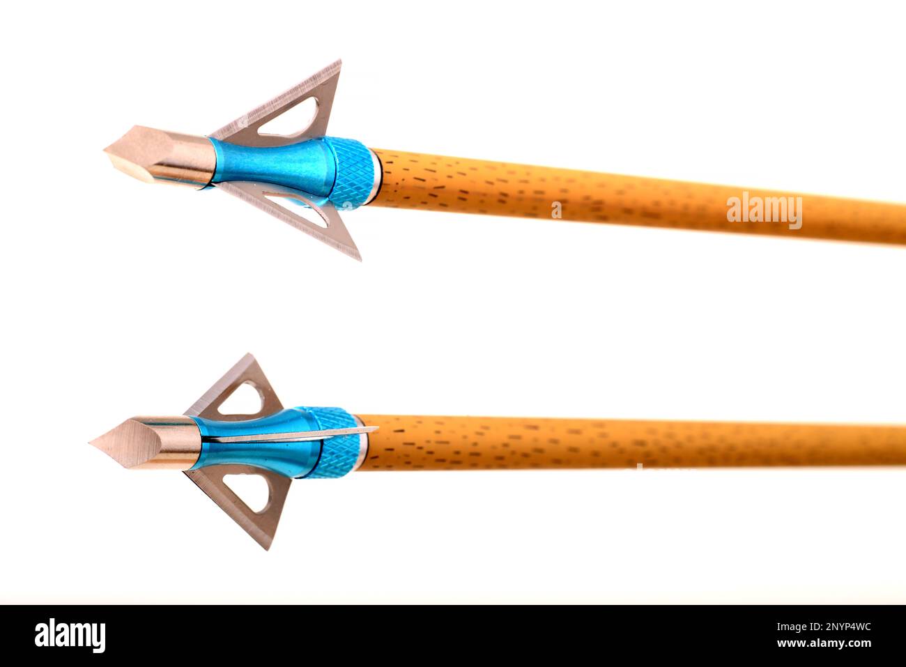 Hunting Arrow point isolated over a white background Stock Photo - Alamy