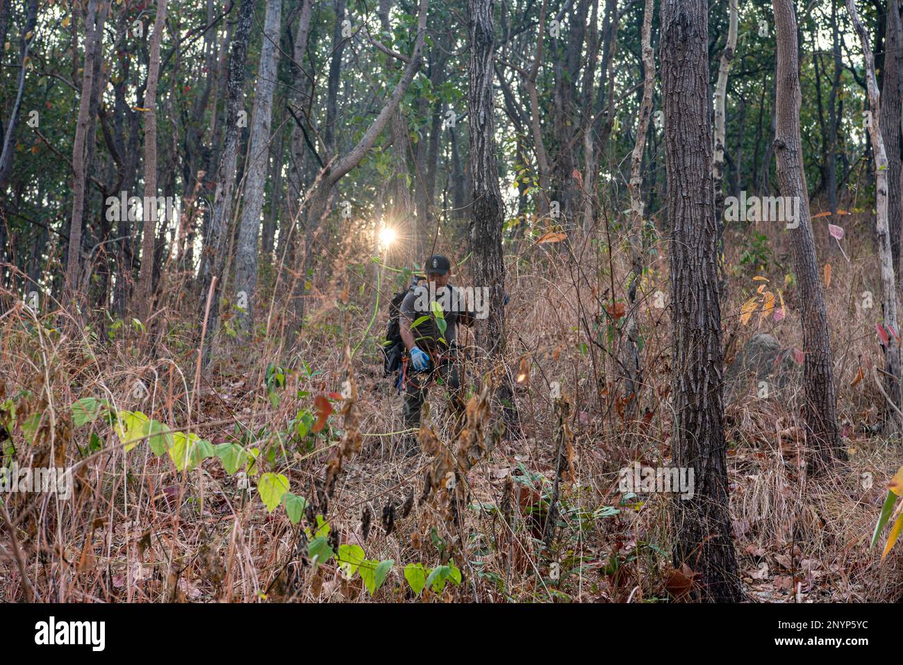 U.S. Army Sgt. First Class Dan Calderon, medic, assigned to the Defense ...
