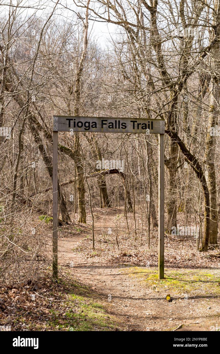 The Tioga Falls Trail sign at the entrance to the trail in the woods at ...