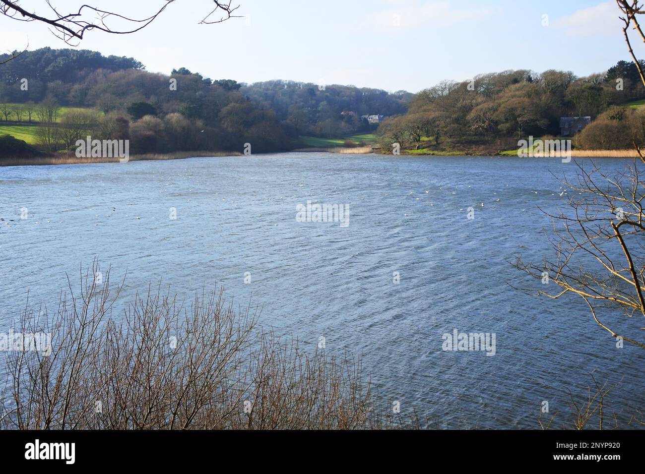 Helston cornwall hi-res stock photography and images - Alamy