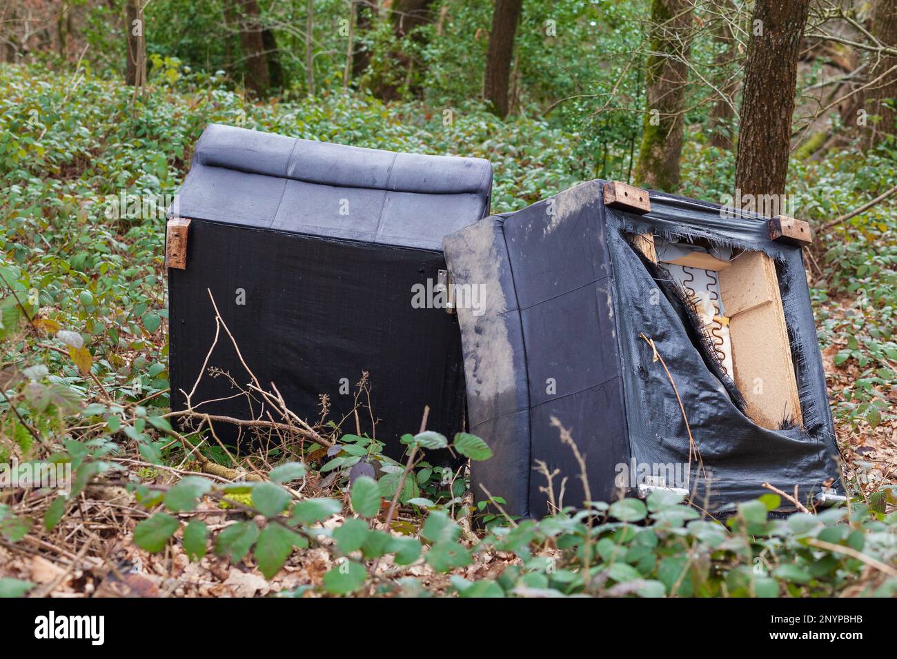 Chairs illegally tipped at the entrance of woodland in Carrbrook ...
