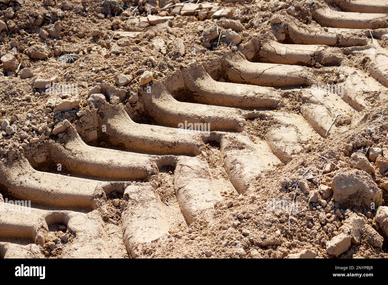 Tractor footprint in a crop field in the province of Zaragoza, Aragon ...