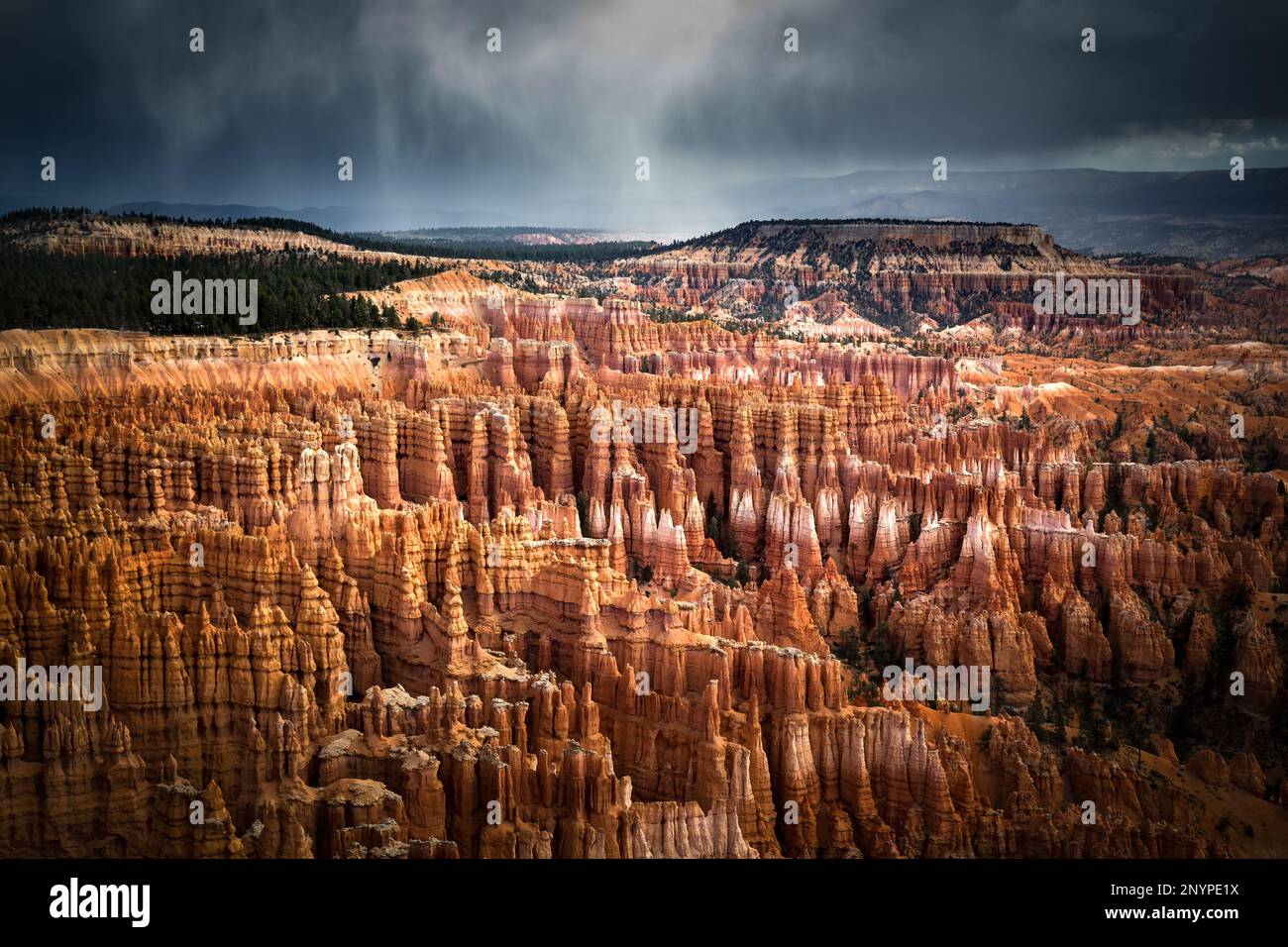 Rain on Bryce canyon hoodoos Stock Photo - Alamy