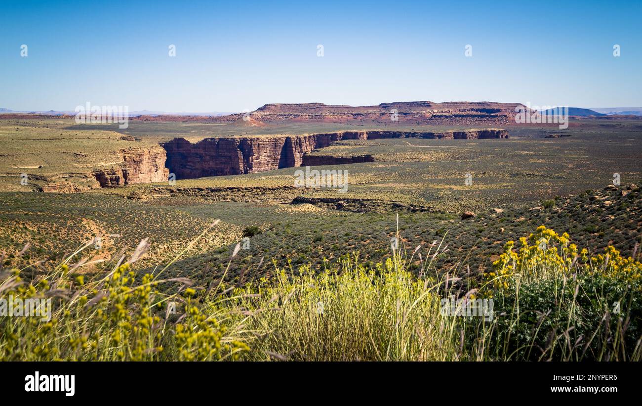 Grand canyon rift Stock Photo - Alamy